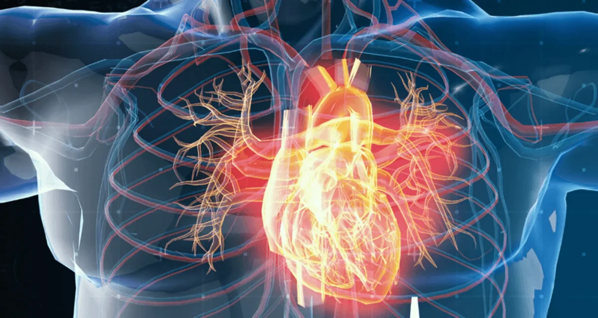 Science 101: Cardiovascular - Sanford Burnham Prebys